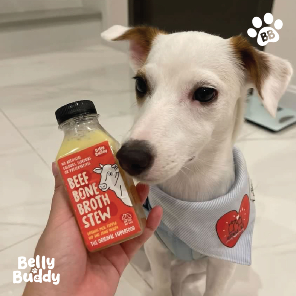 Belly Buddy, ร้านค้าออนไลน์ | Shopee Thailand