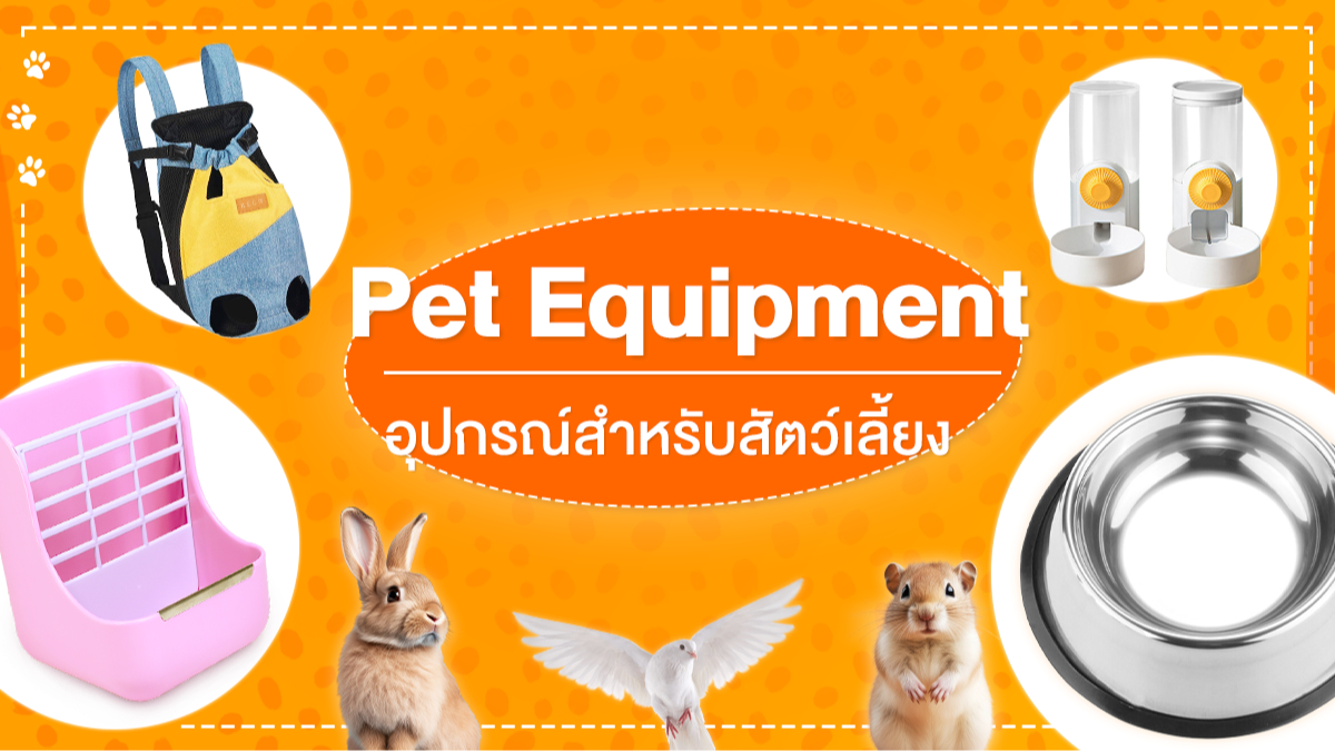 สั่งซื้อสินค้าออนไลน์จาก Petus | Shopee Thailand