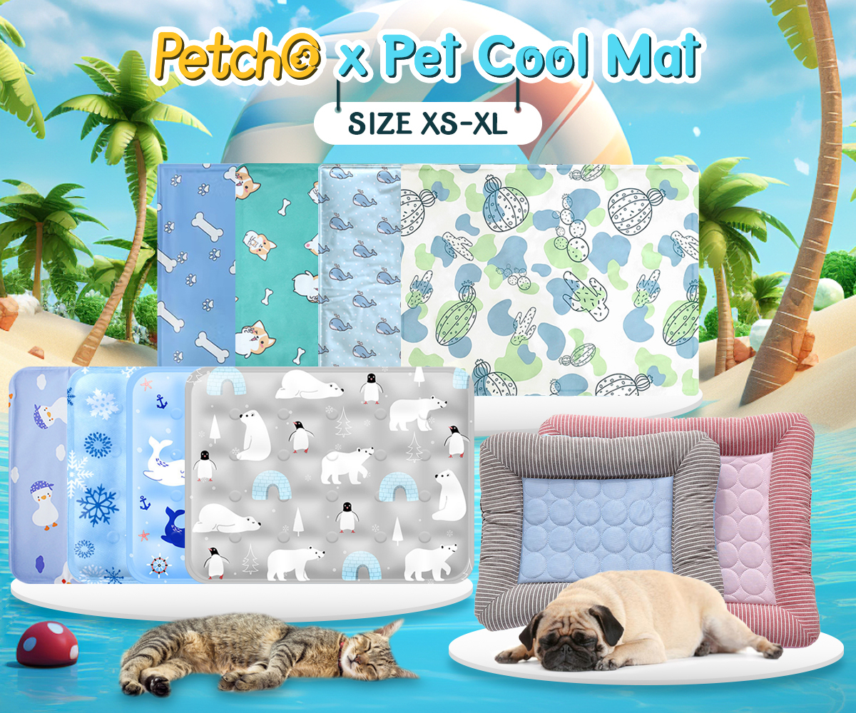 Petcho Official Shop, ร้านค้าออนไลน์ | Shopee Thailand