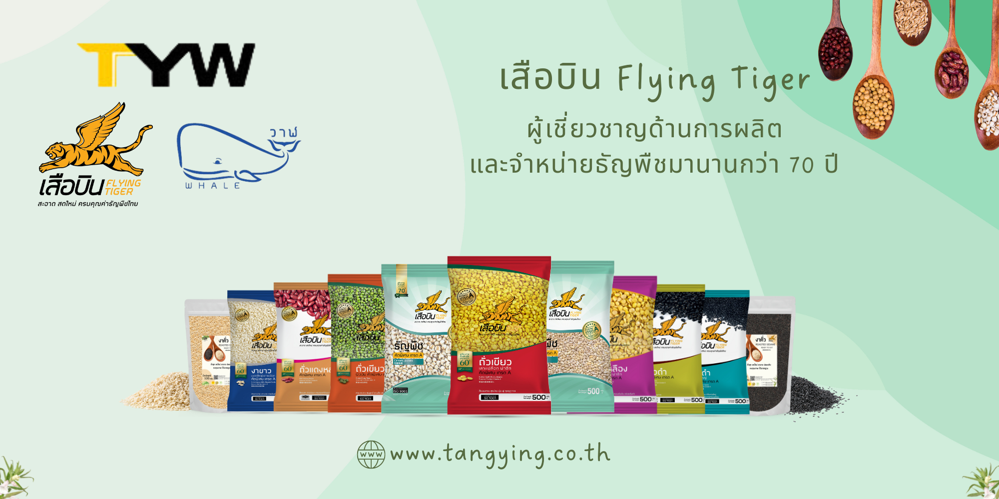 Flying Tiger (เสือบิน), ร้านค้าออนไลน์ | Shopee Thailand