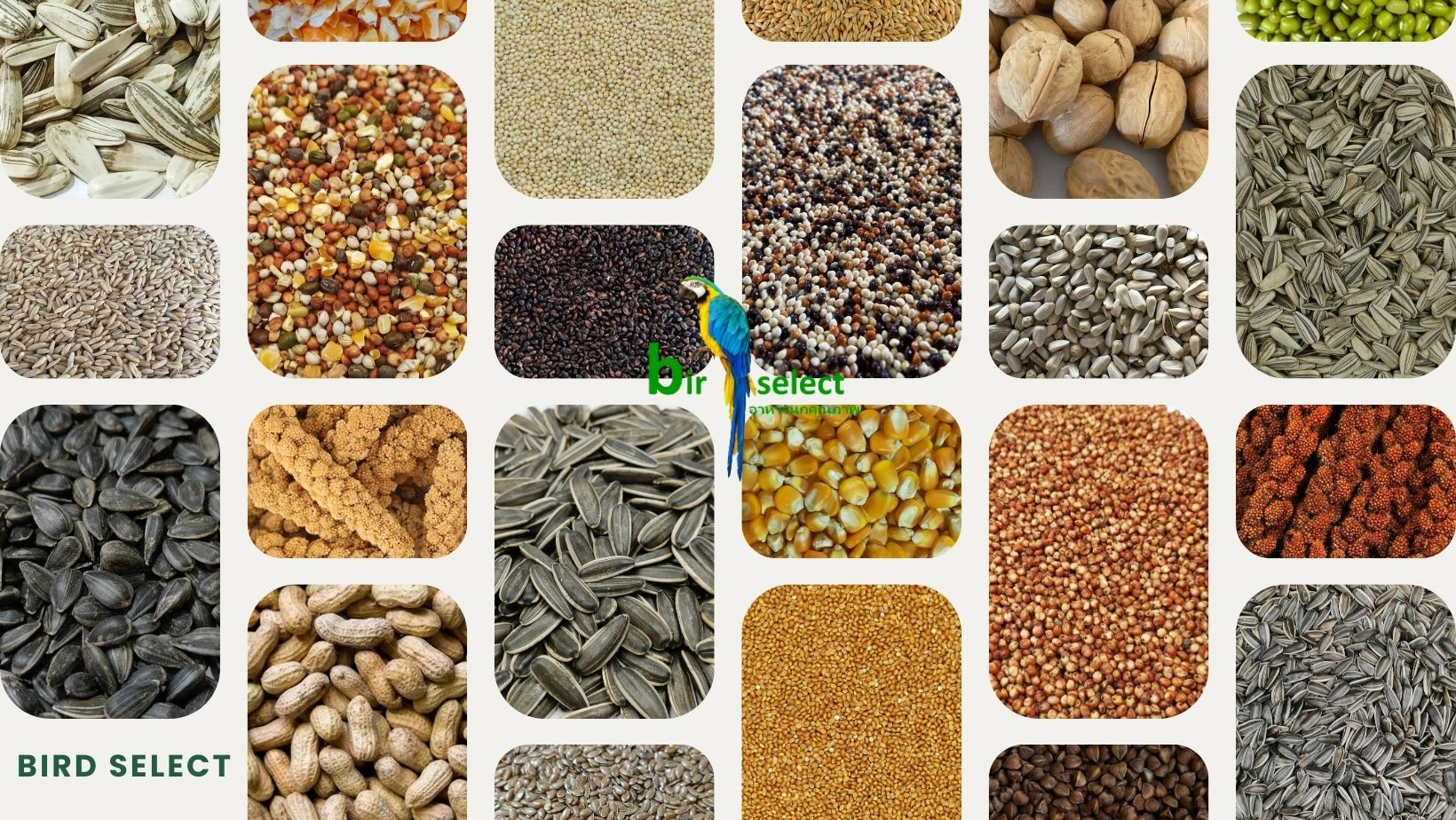 อาหารนก Bird select, ร้านค้าออนไลน์ | Shopee Thailand