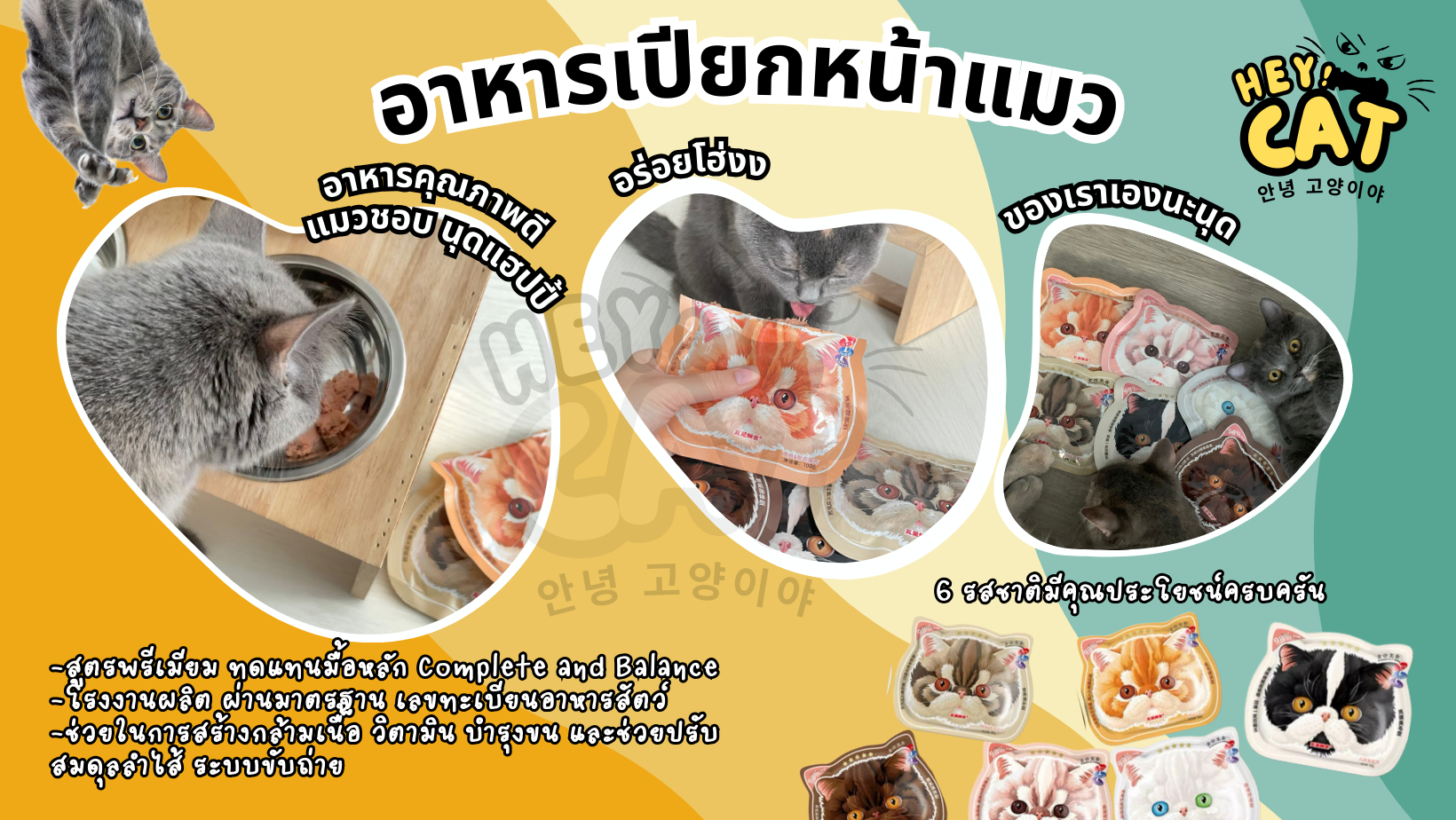heycat.official, ร้านค้าออนไลน์ | Shopee Thailand