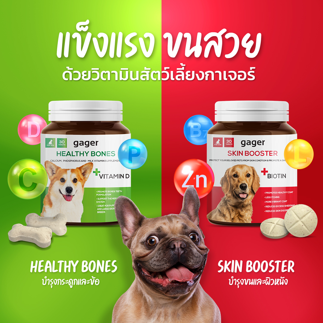 สั่งซื้อสินค้าออนไลน์จาก gager official | Shopee Thailand