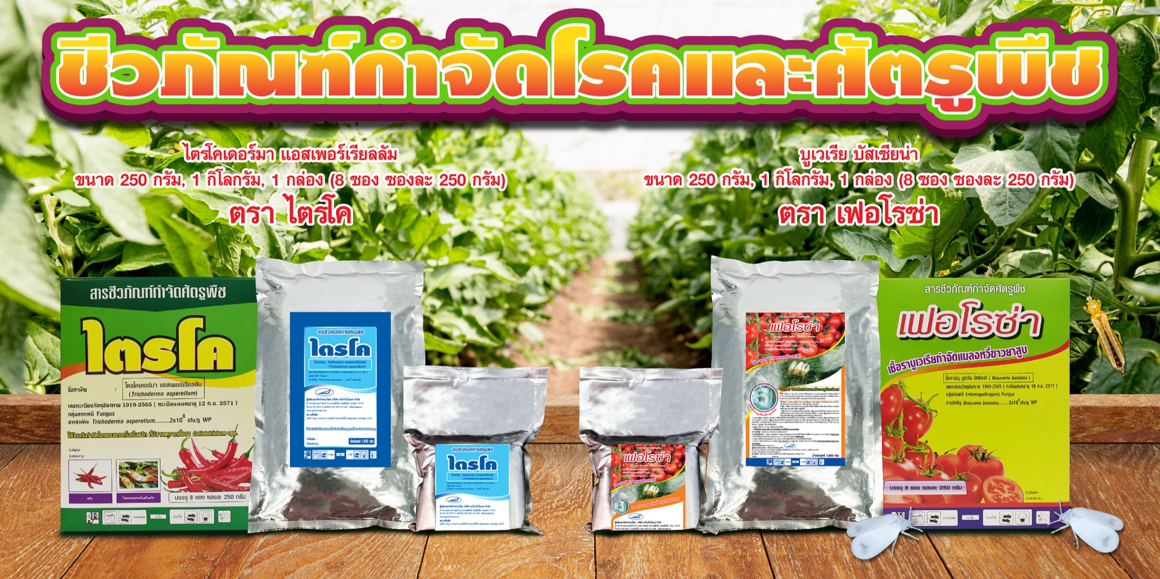 Parwel International, ร้านค้าออนไลน์ | Shopee Thailand