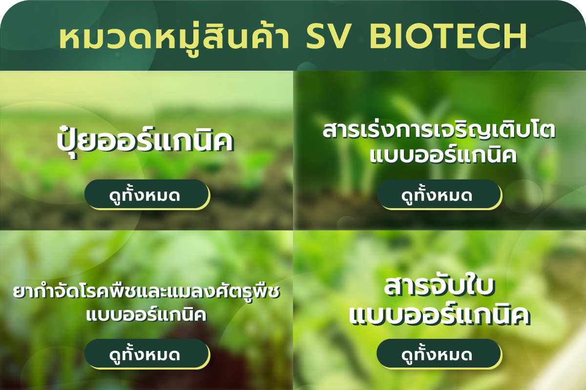 SV BIOTECH, ร้านค้าออนไลน์ | Shopee Thailand