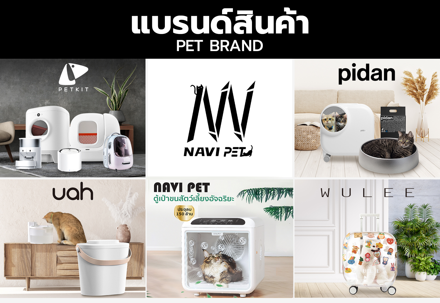 สั่งซื้อสินค้าออนไลน์จาก NAVI PET | Shopee Thailand
