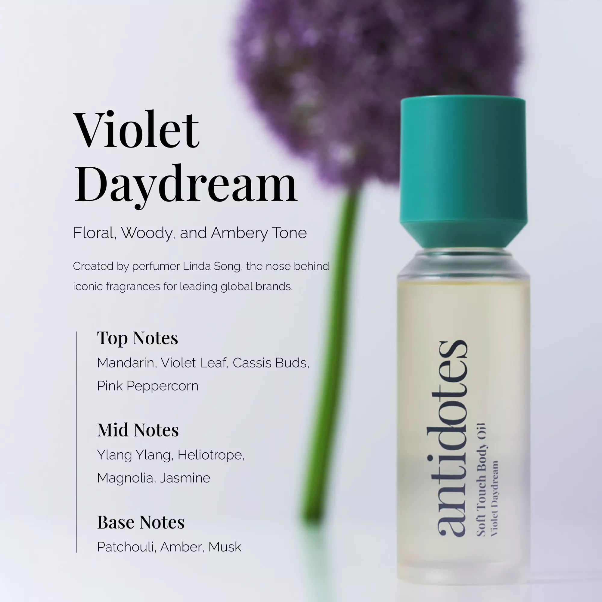 Antidotes, ร้านค้าออนไลน์ | Shopee Thailand