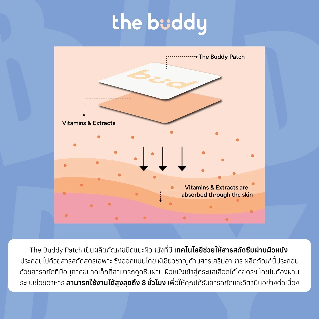 The Buddy Patch, ร้านค้าออนไลน์ | Shopee Thailand