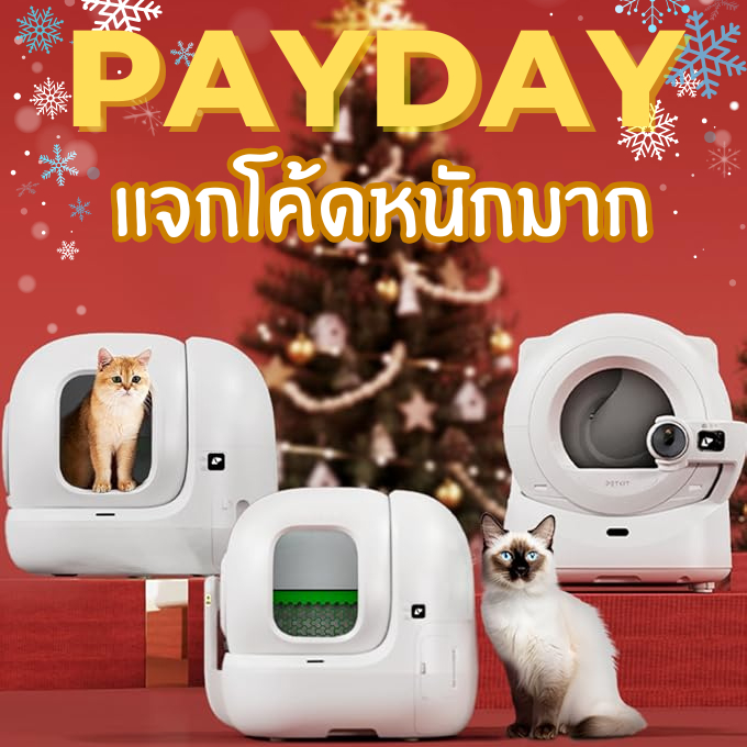 สั่งซื้อสินค้าออนไลน์จาก NAVI PET | Shopee Thailand