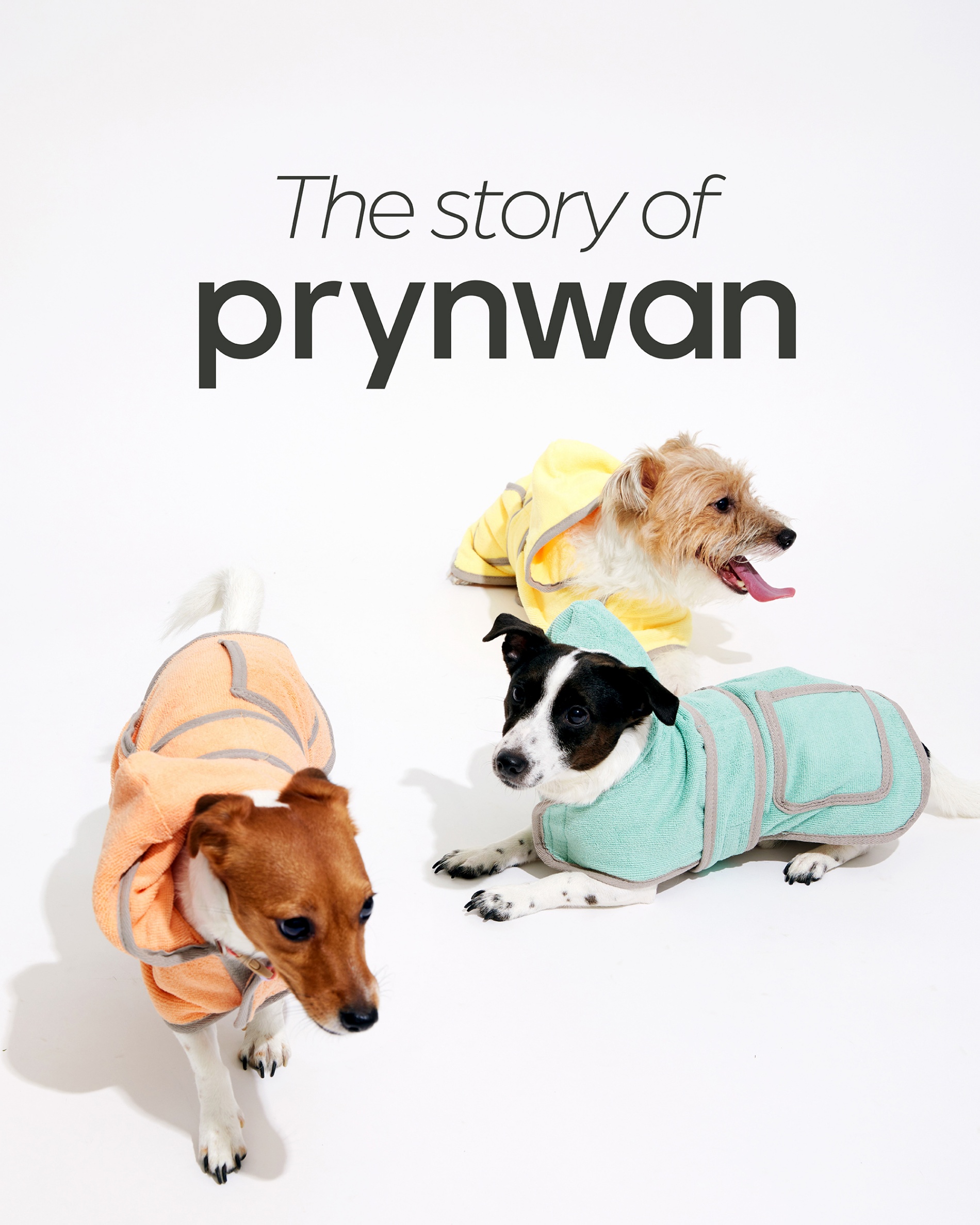 สั่งซื้อสินค้าออนไลน์จาก Prynwan.pets | Shopee Thailand