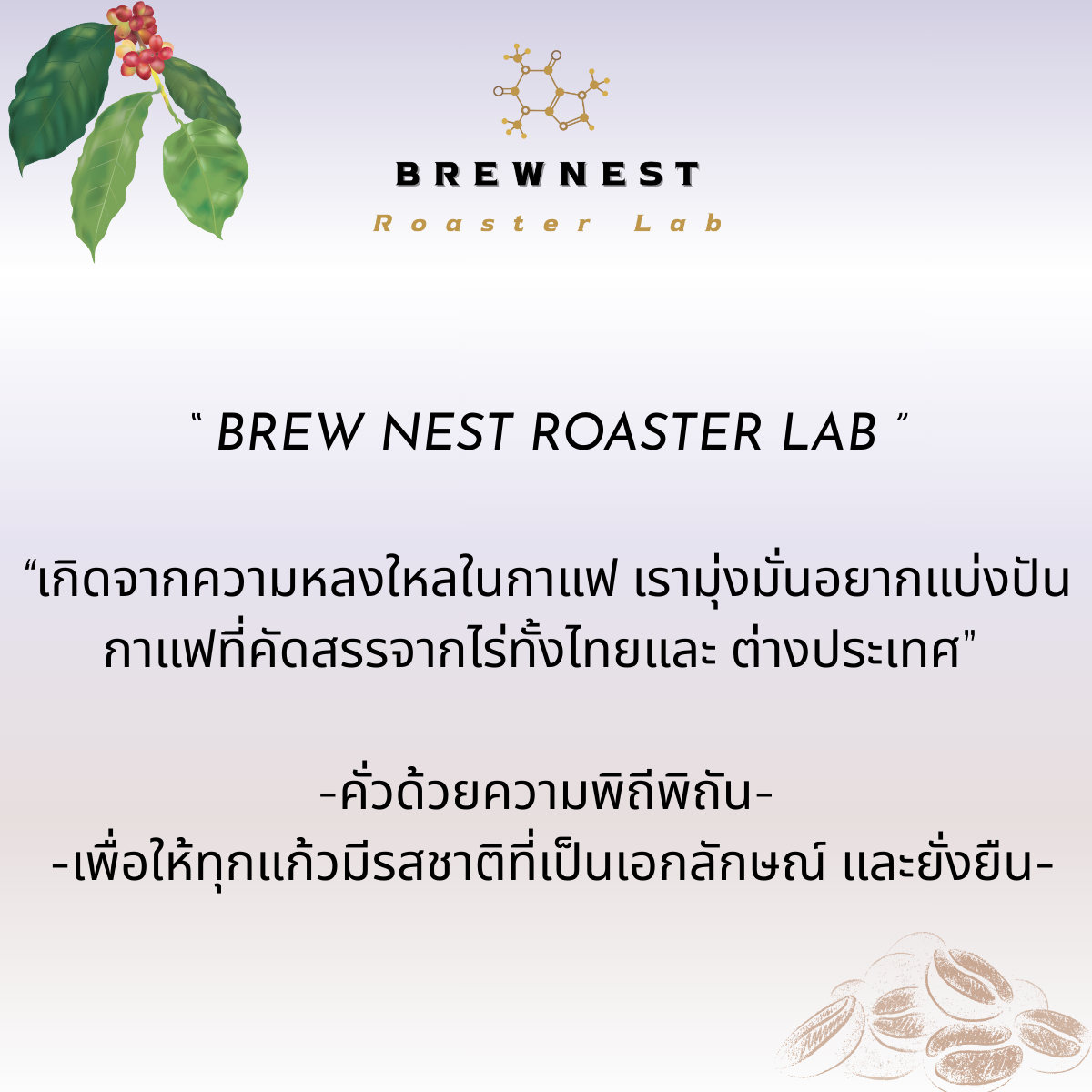 BREWNEST Roaster Lab, ร้านค้าออนไลน์ | Shopee Thailand