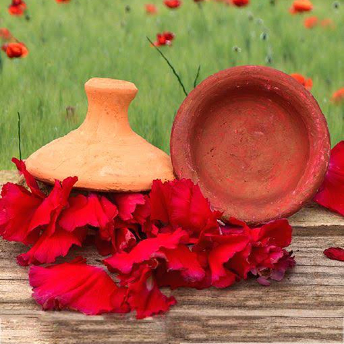 Aker fassi_TH, ร้านค้าออนไลน์ | Shopee Thailand