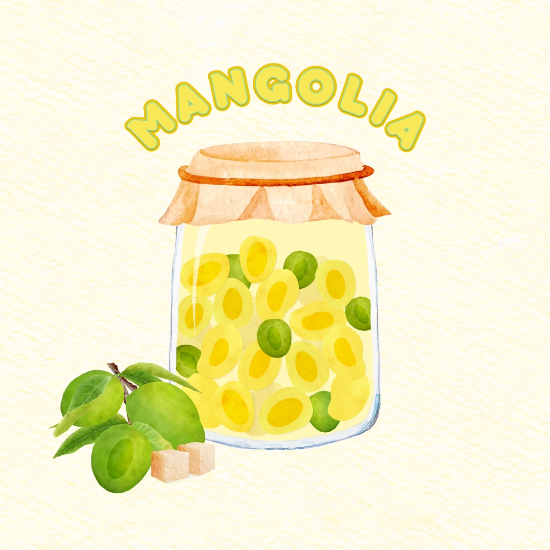 Mangolia, ร้านค้าออนไลน์ | Shopee Thailand