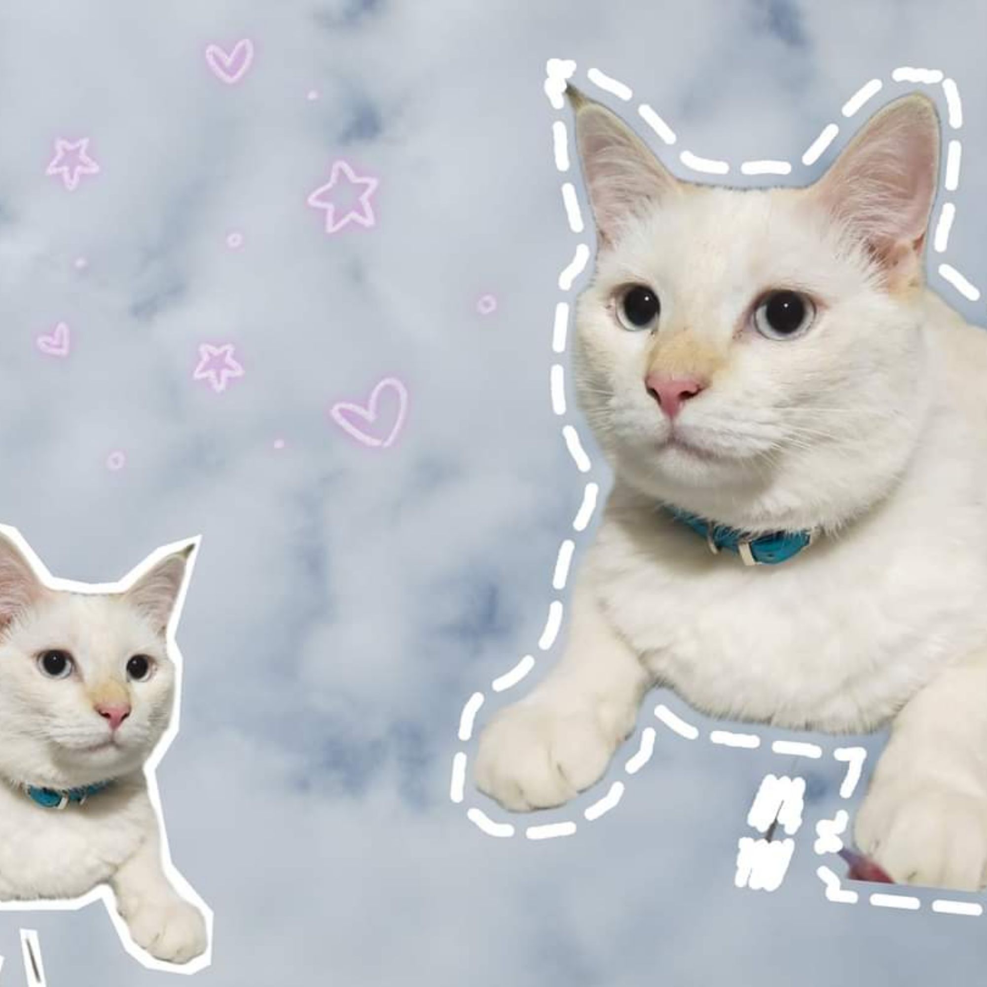 NeverDie ShoP, ร้านค้าออนไลน์ | Shopee Thailand