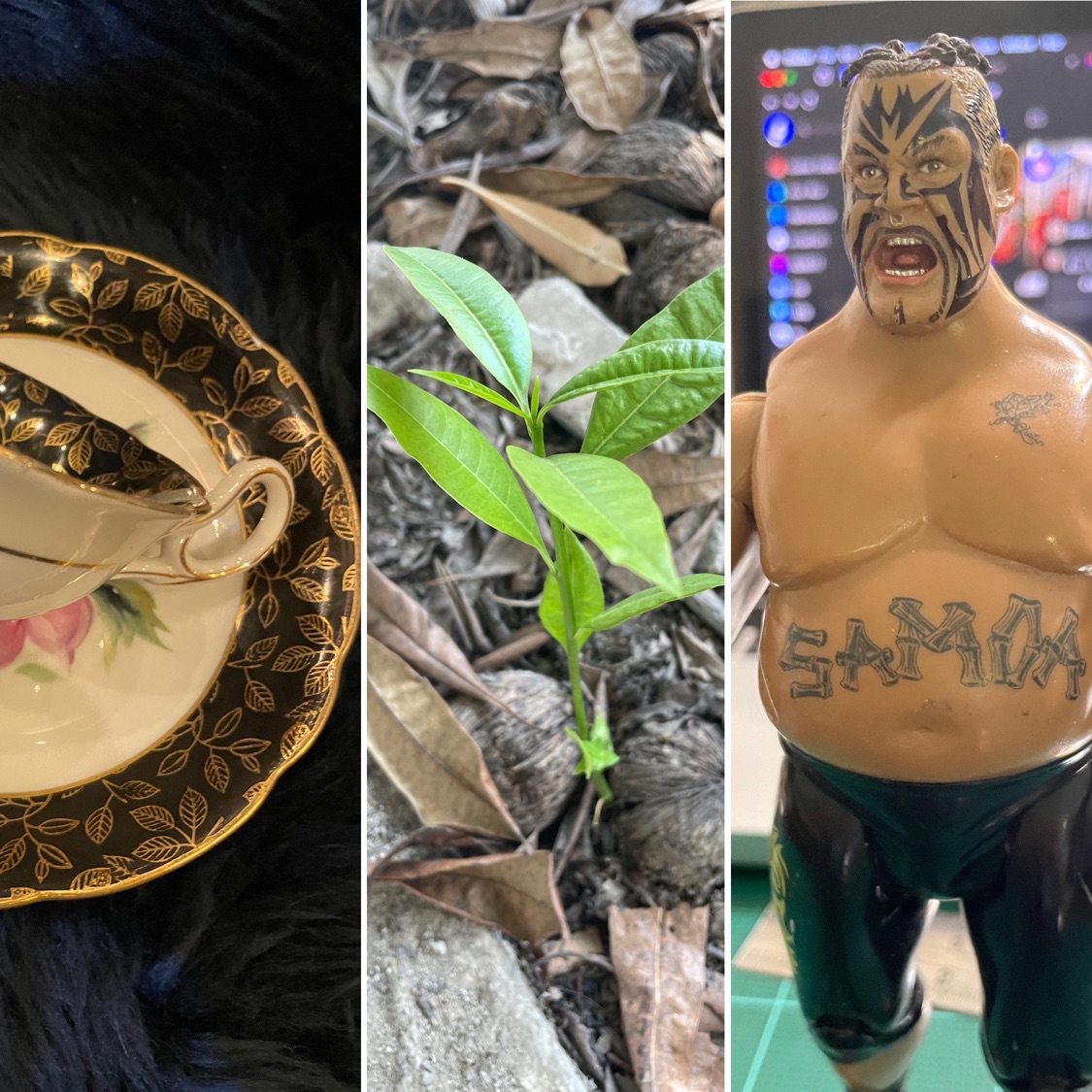 YES Shop ขายทุกอย่าง, ร้านค้าออนไลน์ | Shopee Thailand