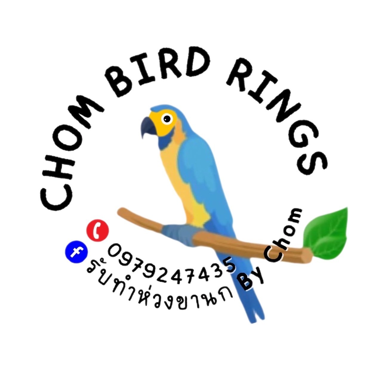 Chom Bird Rings ห่วงขานกแก้ว , ร้านค้าออนไลน์ | Shopee Thailand