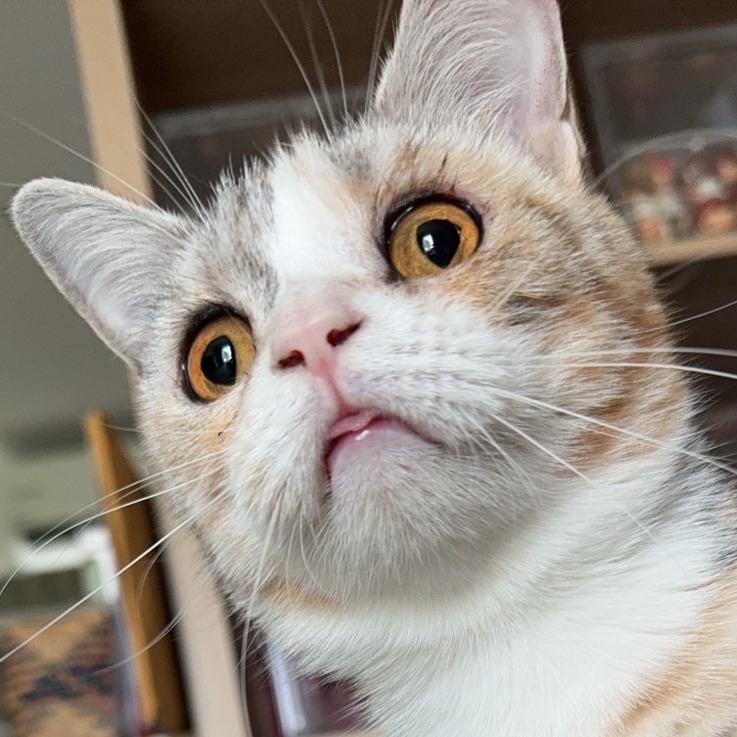 Joom Jim Art Toy, ร้านค้าออนไลน์ | Shopee Thailand