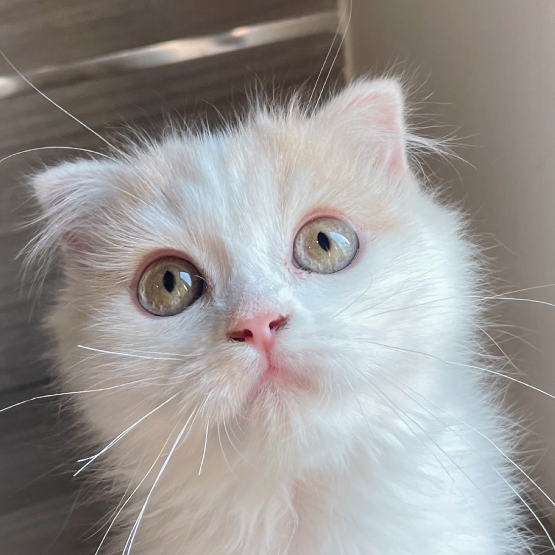 share.share4u, ร้านค้าออนไลน์ | Shopee Thailand