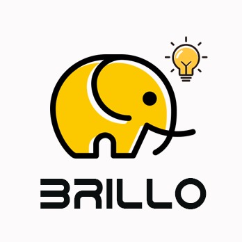BRILLO LIGHT , ร้านค้าออนไลน์ | Shopee Thailand