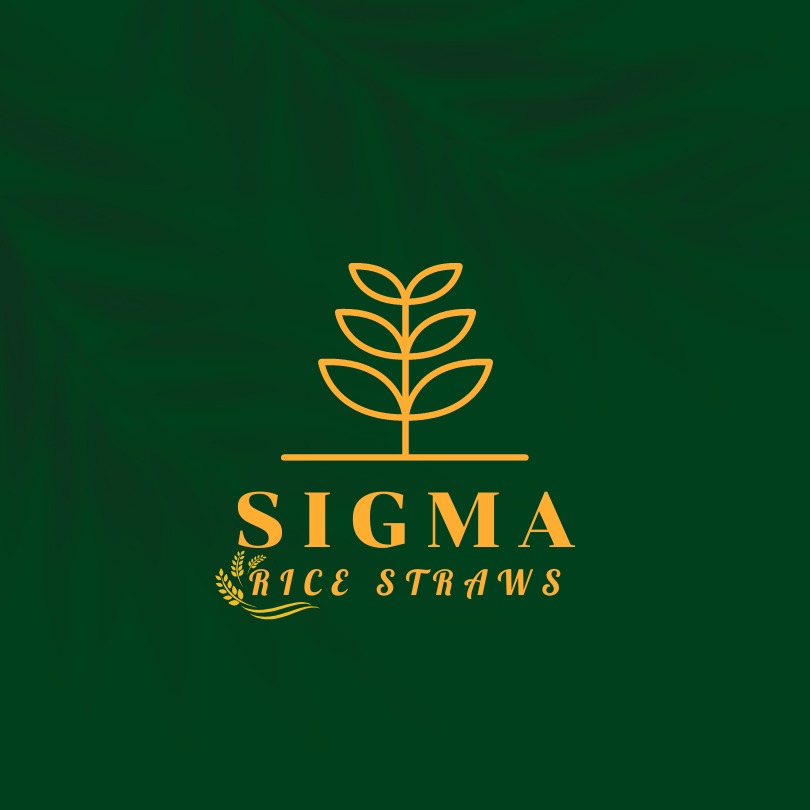 Sigma rice straws-หลอดรักษ์โลก, ร้านค้าออนไลน์ | Shopee Thailand