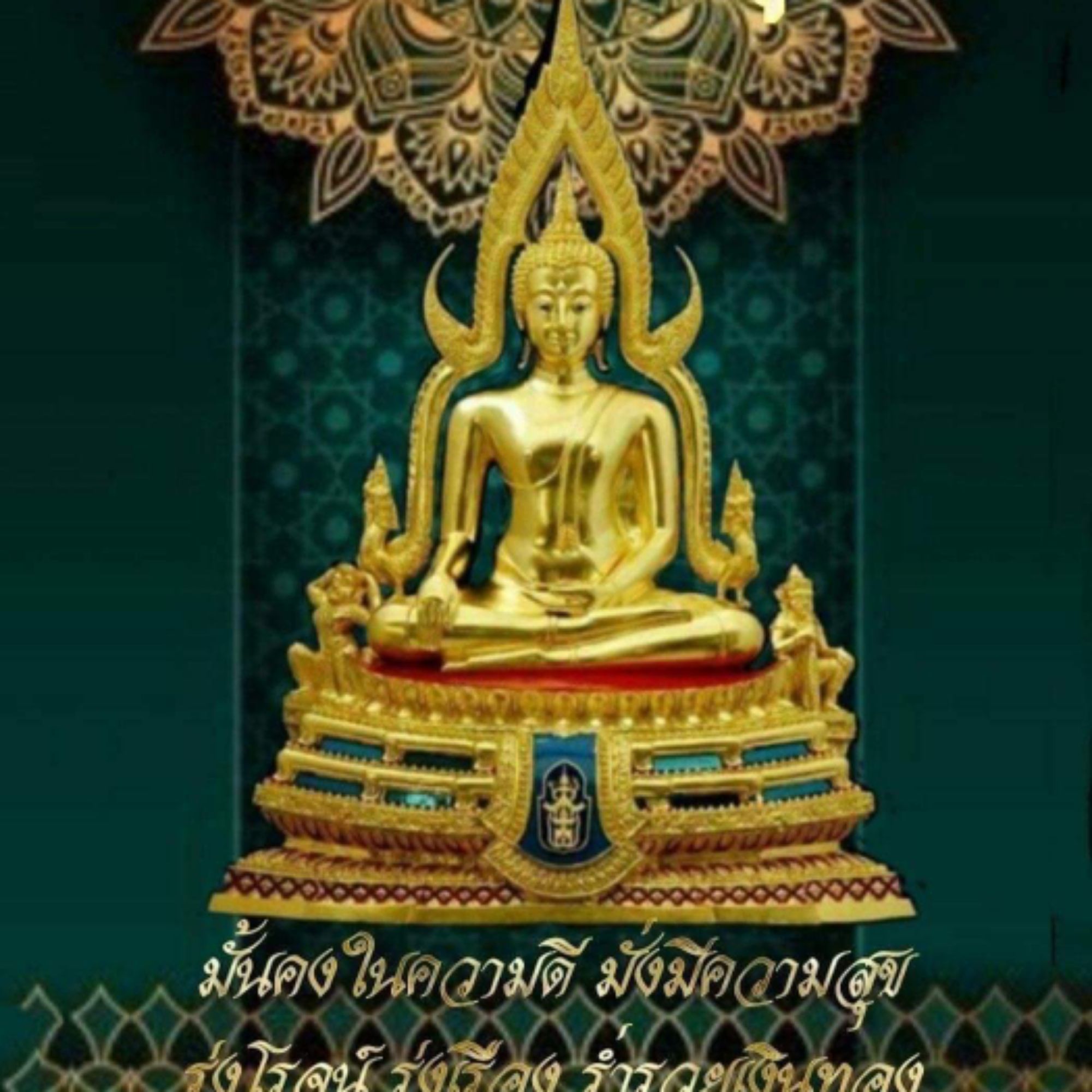 kai store., ร้านค้าออนไลน์ | Shopee Thailand