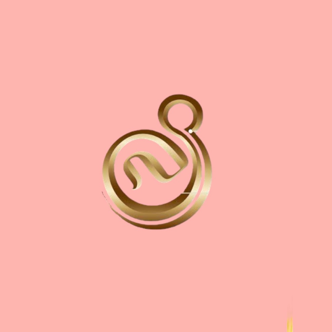 GLOSS SHOP 789, ร้านค้าออนไลน์ | Shopee Thailand