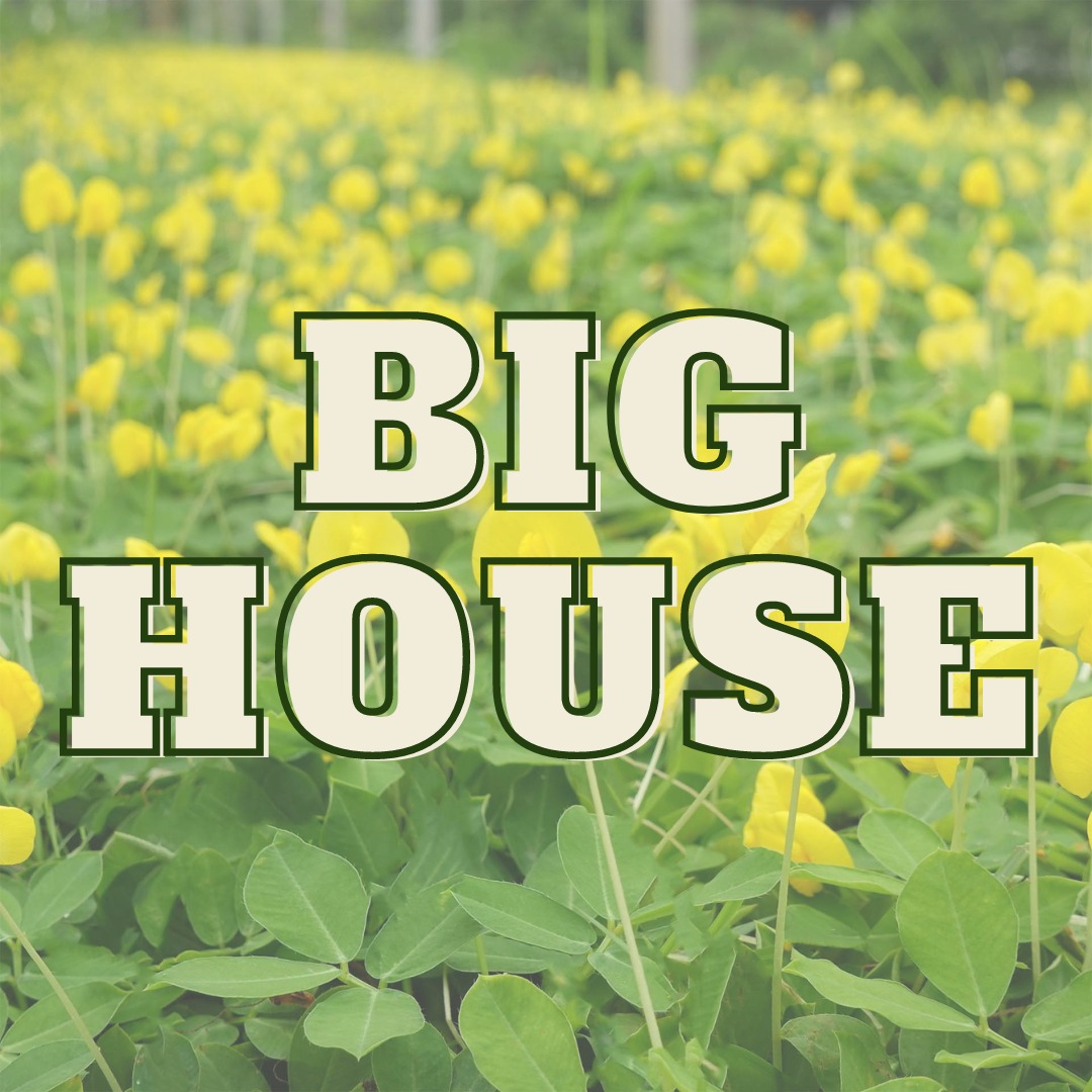 bighouse.se, ร้านค้าออนไลน์ | Shopee Thailand