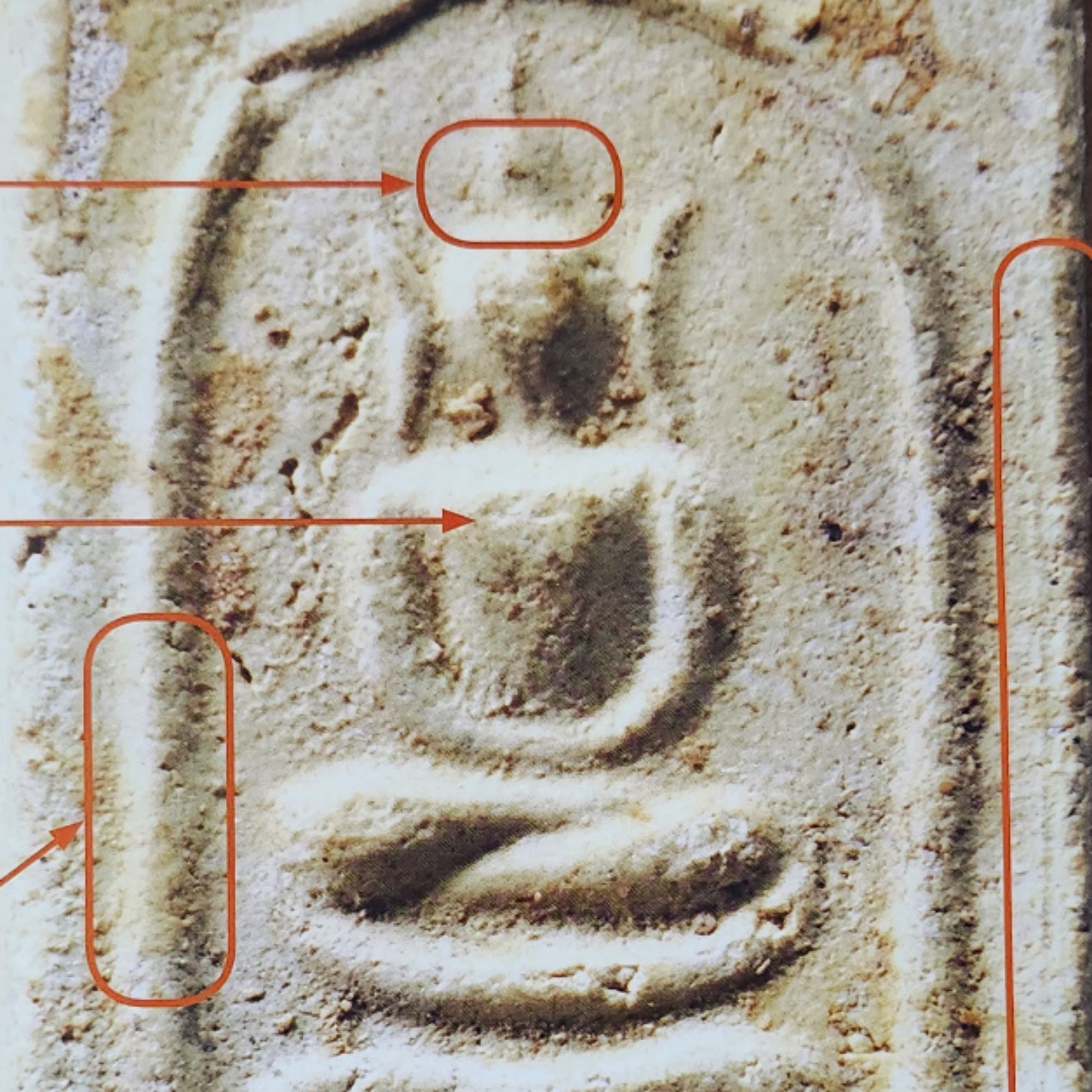 orogard, ร้านค้าออนไลน์ | Shopee Thailand