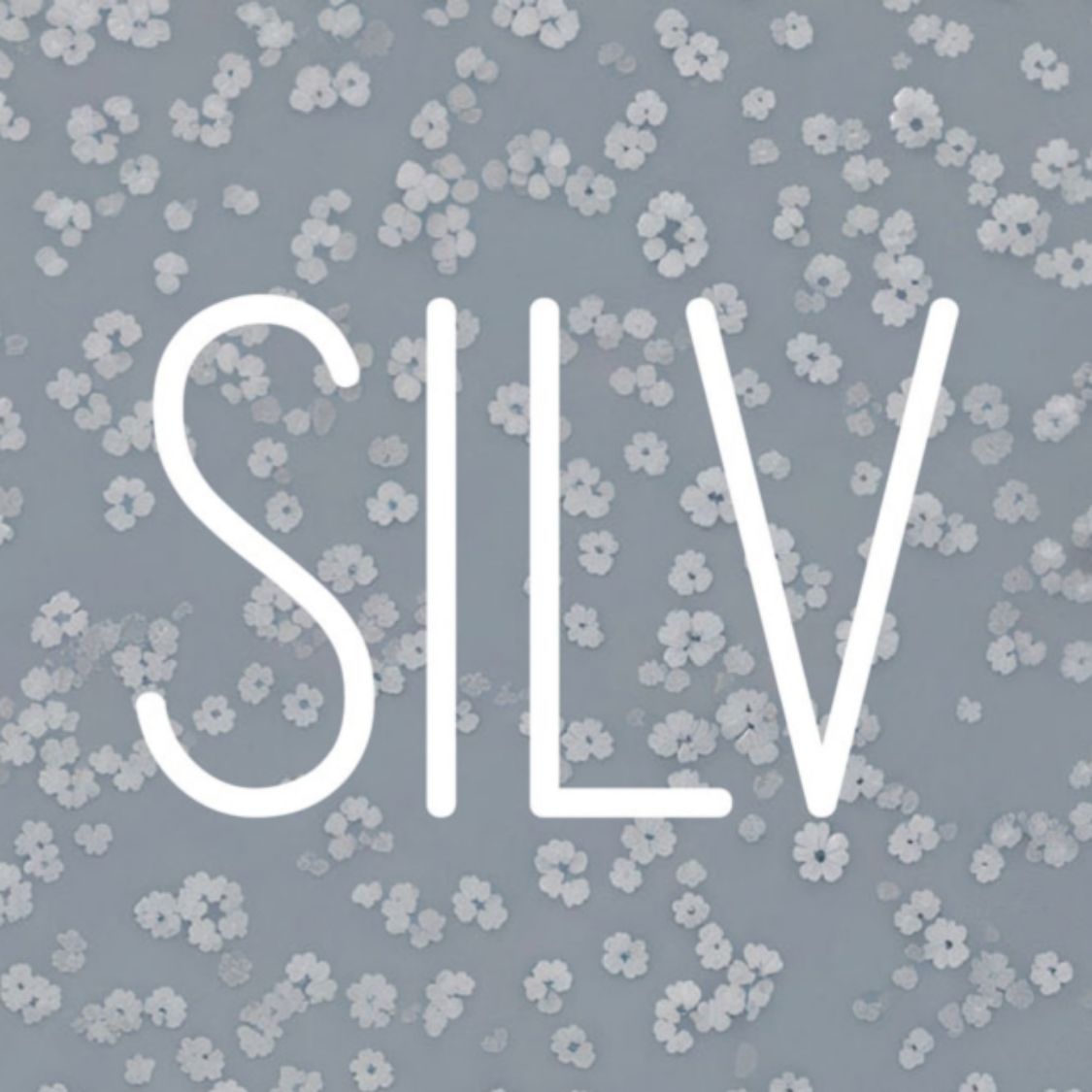 silv.stuff, ร้านค้าออนไลน์ | Shopee Thailand