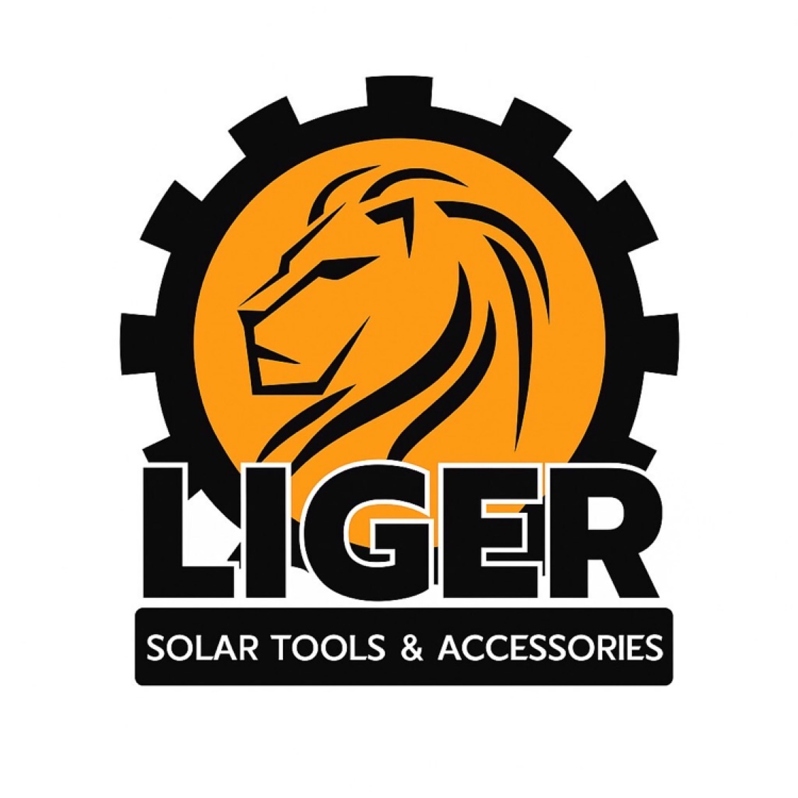 LIGER SOLAR อุปกรณ์โซล่าเซลล์, ร้านค้าออนไลน์ | Shopee Thailand
