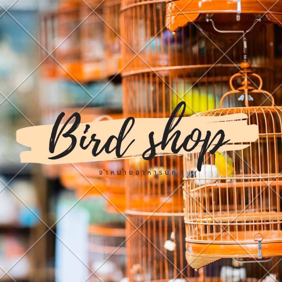 อาหารนก By.birdshop, ร้านค้าออนไลน์ | Shopee Thailand