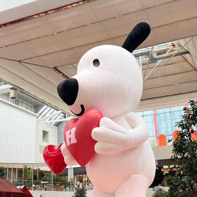 bbbbb.b, ร้านค้าออนไลน์ | Shopee Thailand