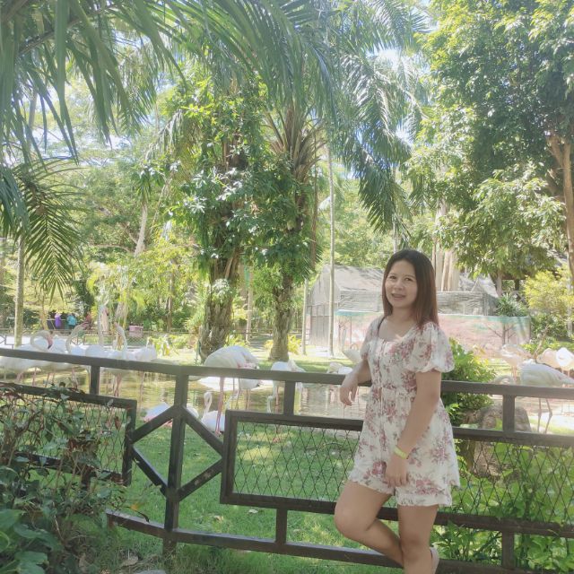 Apple & Ing, ร้านค้าออนไลน์ | Shopee Thailand