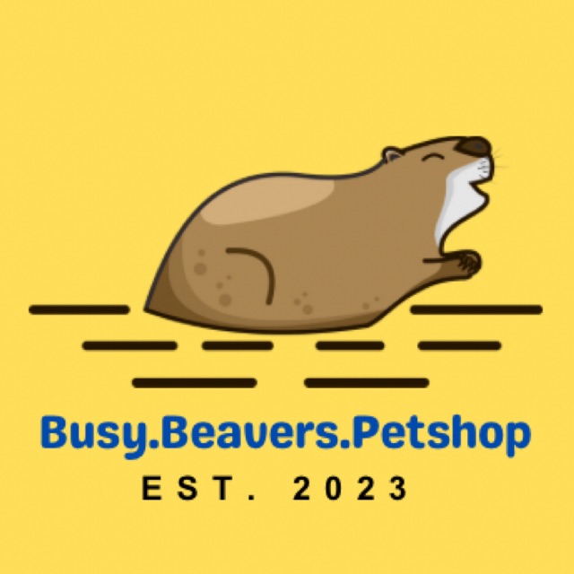 Busy Beaver Petshop, ร้านค้าออนไลน์ | Shopee Thailand