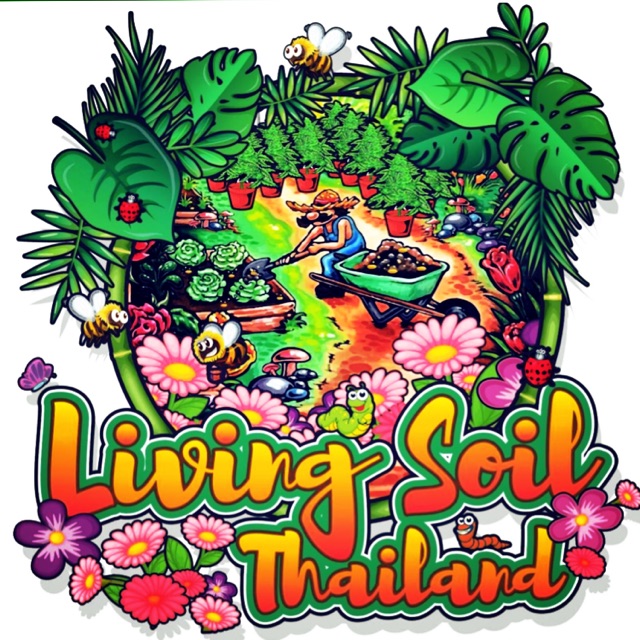Living Soil, ร้านค้าออนไลน์ | Shopee Thailand