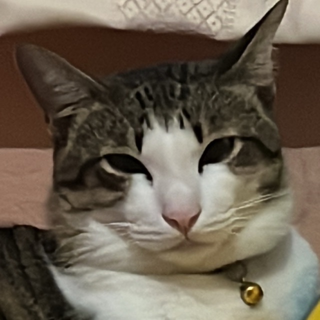 Preecha Farm, ร้านค้าออนไลน์ | Shopee Thailand