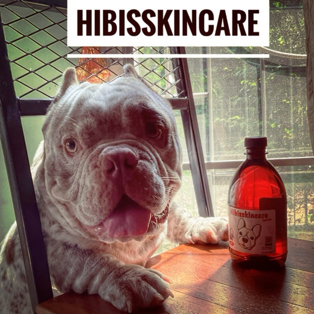Hibisskincare by Gookay, ร้านค้าออนไลน์ | Shopee Thailand