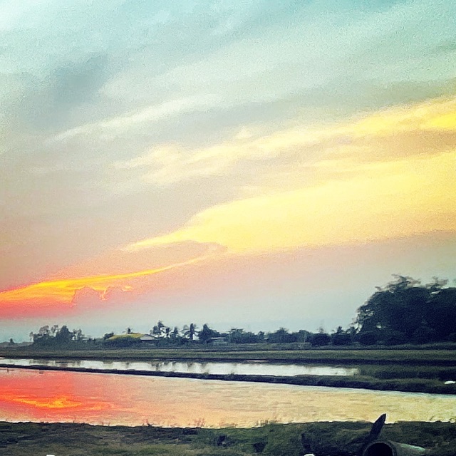 Kus_Auto, ร้านค้าออนไลน์ | Shopee Thailand