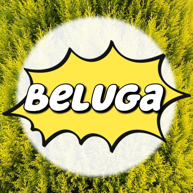 Beluga shop, ร้านค้าออนไลน์ | Shopee Thailand