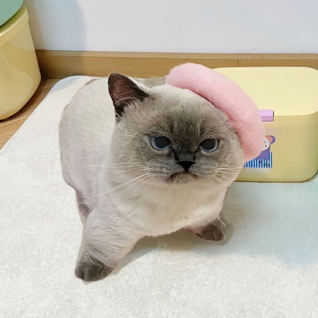 Hubi.easy, ร้านค้าออนไลน์ | Shopee Thailand