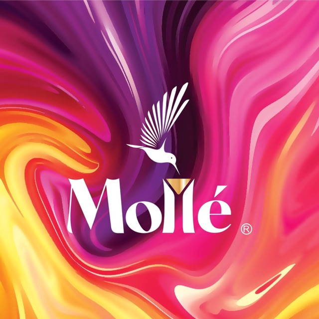 Molle Premium Syrup, ร้านค้าออนไลน์ | Shopee Thailand