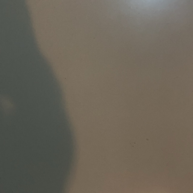 Yan Vegetable garden, ร้านค้าออนไลน์ | Shopee Thailand