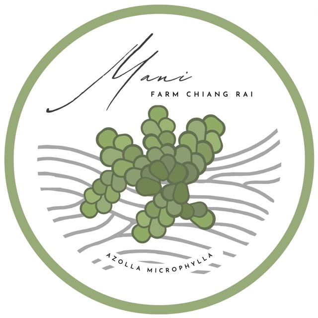 แหนแดง Mani Farm Chiang Rai, ร้านค้าออนไลน์ | Shopee Thailand