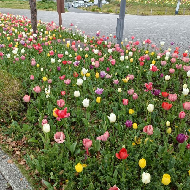 patcharaporn..._, ร้านค้าออนไลน์ | Shopee Thailand