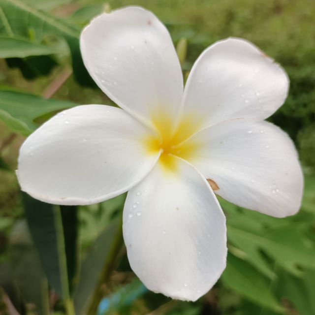 kwanruethai.90, ร้านค้าออนไลน์ | Shopee Thailand