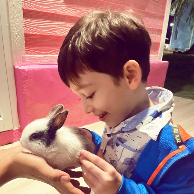 Alex&Teddy, ร้านค้าออนไลน์ | Shopee Thailand