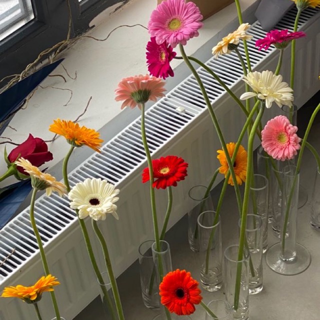 Amada store, ร้านค้าออนไลน์ | Shopee Thailand