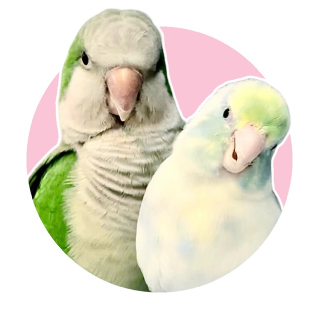 Taoji everyday, ร้านค้าออนไลน์ | Shopee Thailand