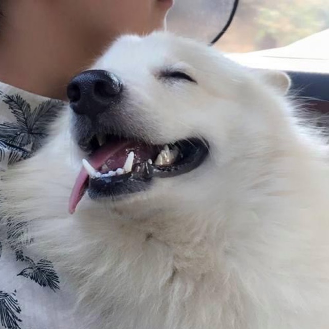 Hoshi Coffee, ร้านค้าออนไลน์ | Shopee Thailand