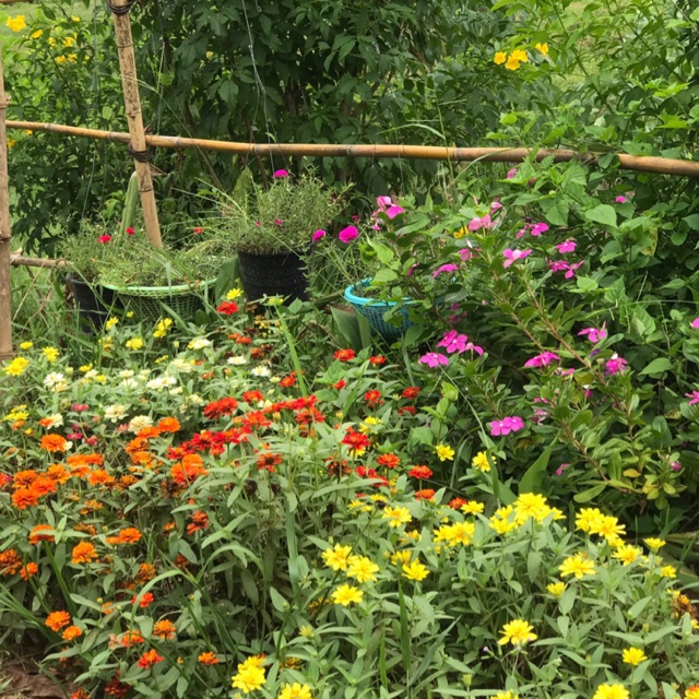 II88_official, ร้านค้าออนไลน์ | Shopee Thailand